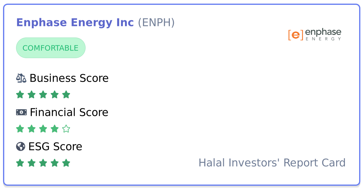 Enphase Energy Inc (ENPH) Financial Articles